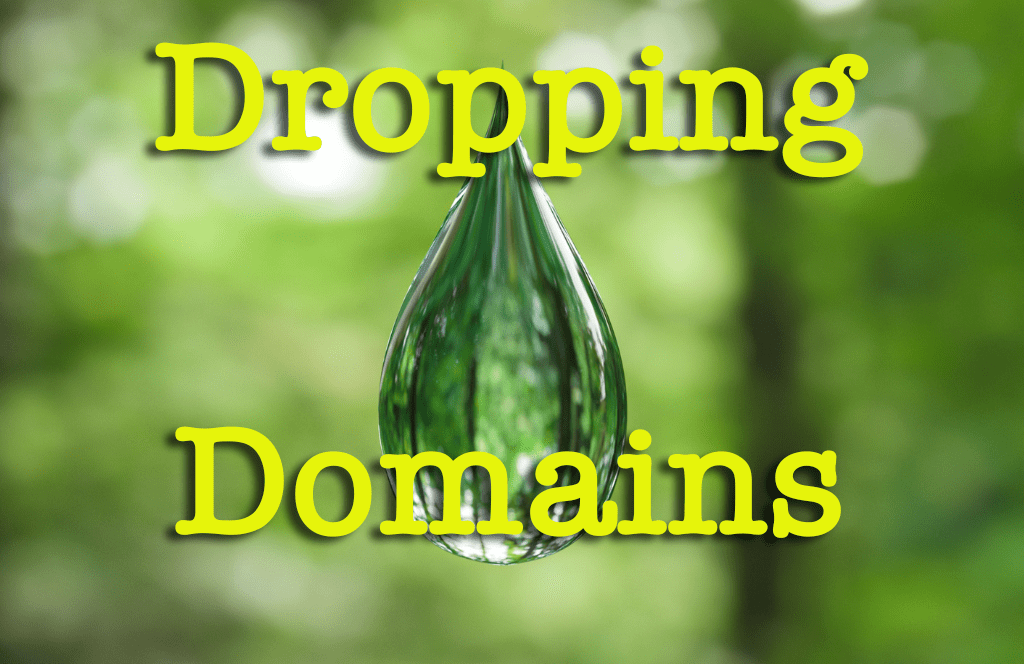 The Beauty of Dropped Domains with Dan Rubin - SullysBlog.com